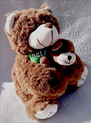Irish Teddy Bears