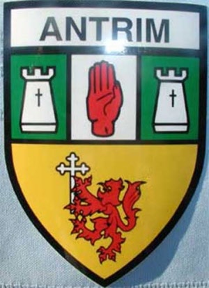 Irish County Coat of Arms Decals