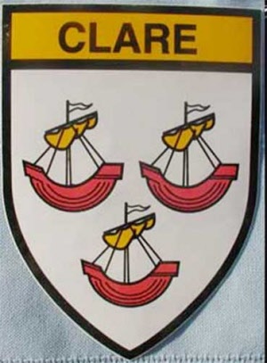 Irish County Coat of Arms Decals