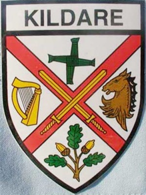 Irish County Coat of Arms Decals