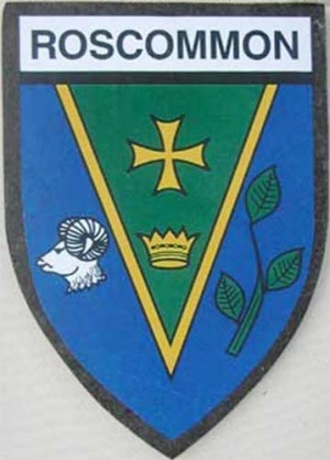 Irish County Coat of Arms Decals