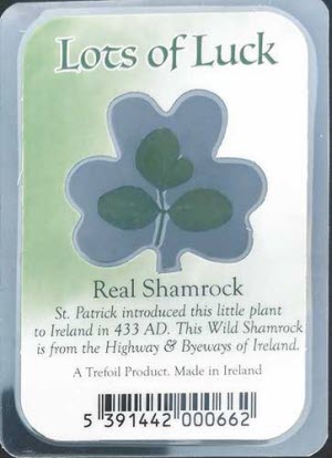 Shamrock Blessing Cards