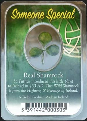Shamrock Blessing Cards